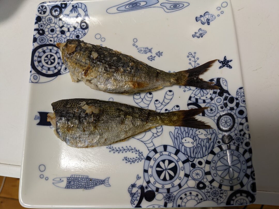 東京限定高級魚「タカベ」は釣りたてを現地食いが最高ですね | 野食ハンマープライス